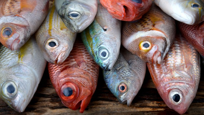 What are 3 examples of seafood you should not buy?