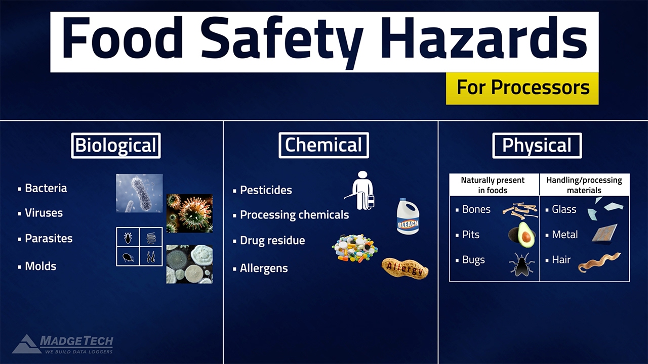 What are 3 food hazards?