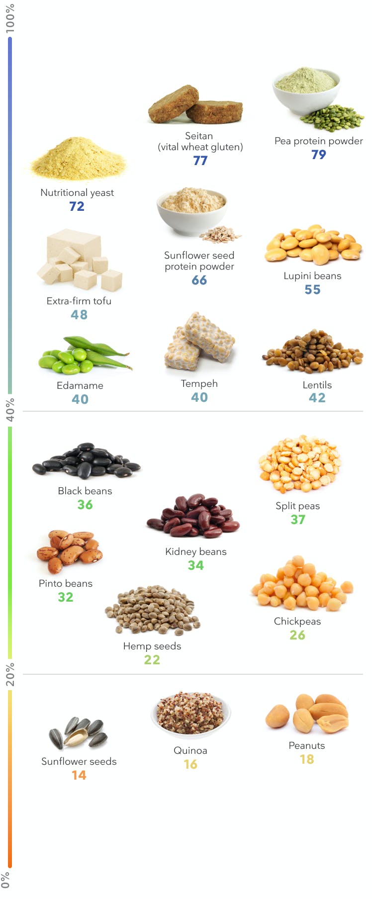 What are 3 plant foods that are high in protein?