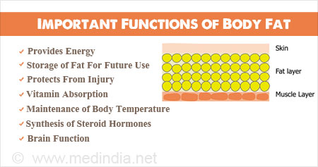 What are 3 purposes of fat?