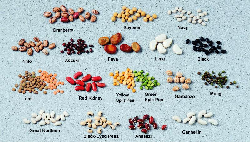 What are 5 different legumes?