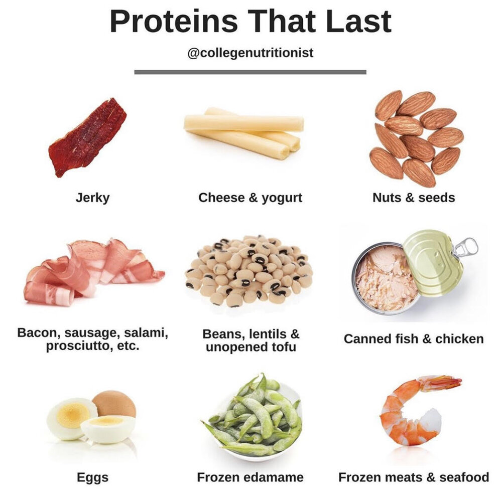 What are 5 examples of protein foods?