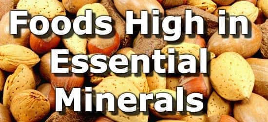 What are 5 foods that are high in minerals?