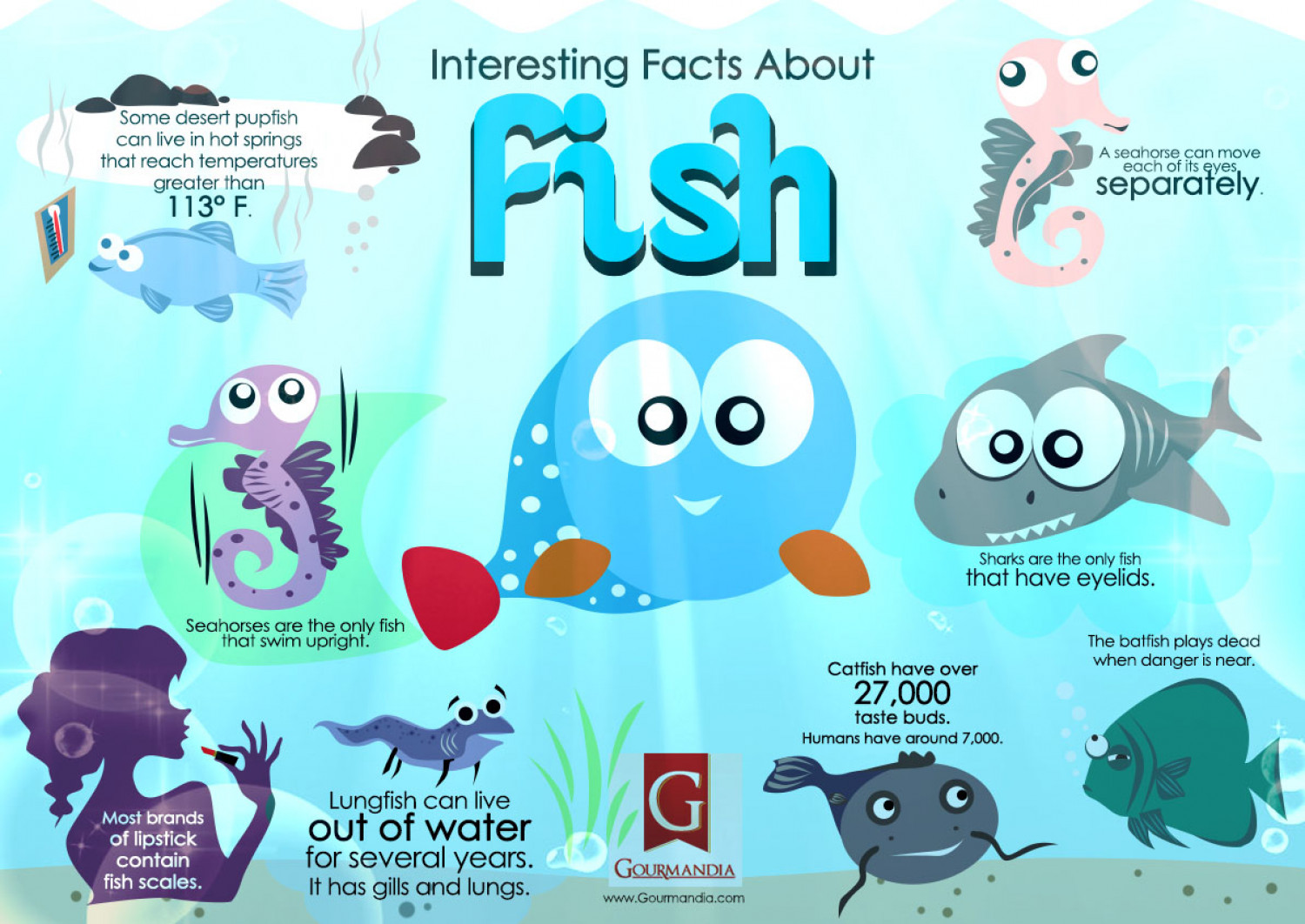 What are 5 interesting facts about fish?