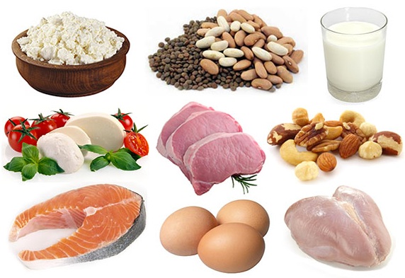 What are 6 protein foods?