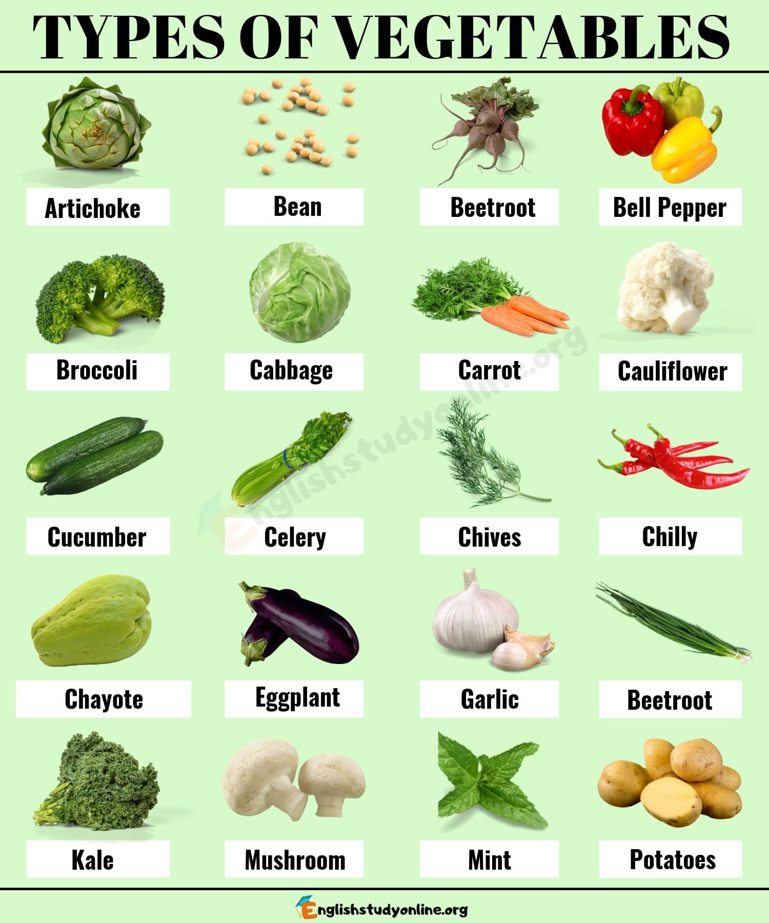 What are 7 examples of vegetables?