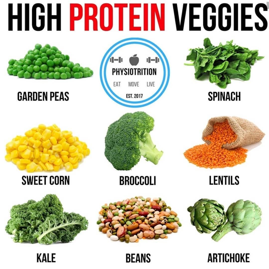 What are 8 examples of protein foods?