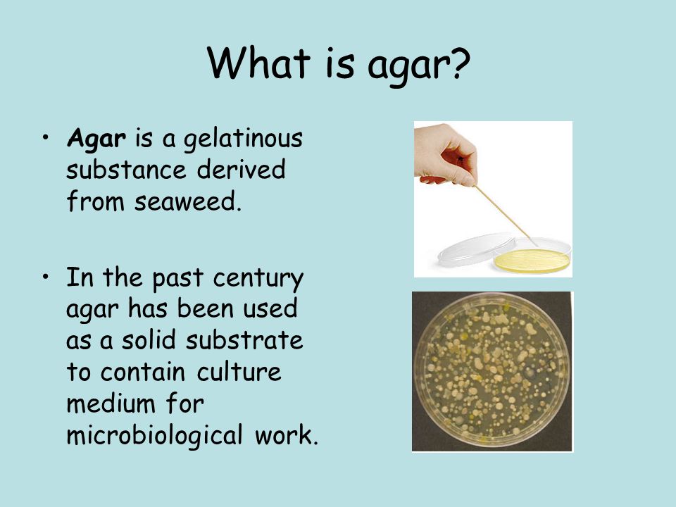 What are agar used for?