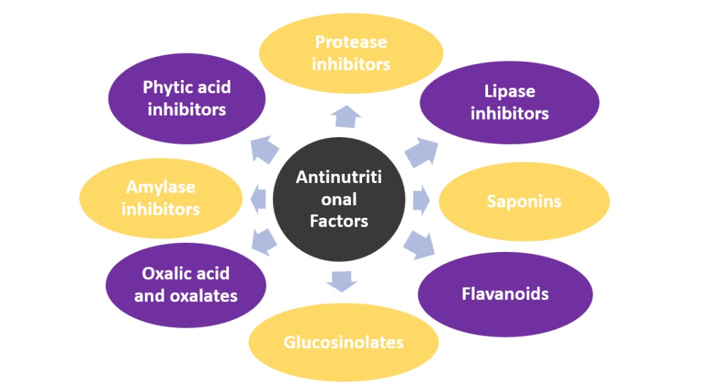 What are anti-nutritional factors in pulses?