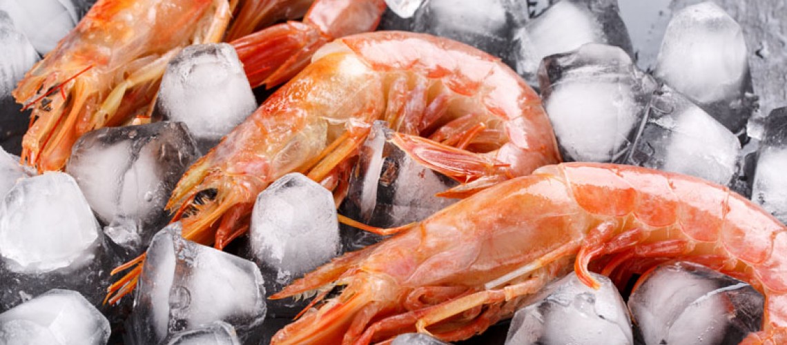 What are Argentina shrimps?
