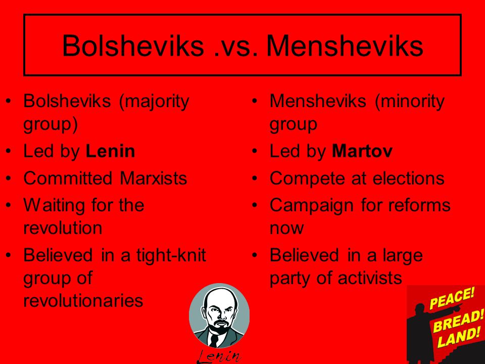 What are Bolsheviks and Mensheviks?