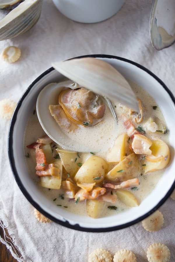 What are chowder clams?