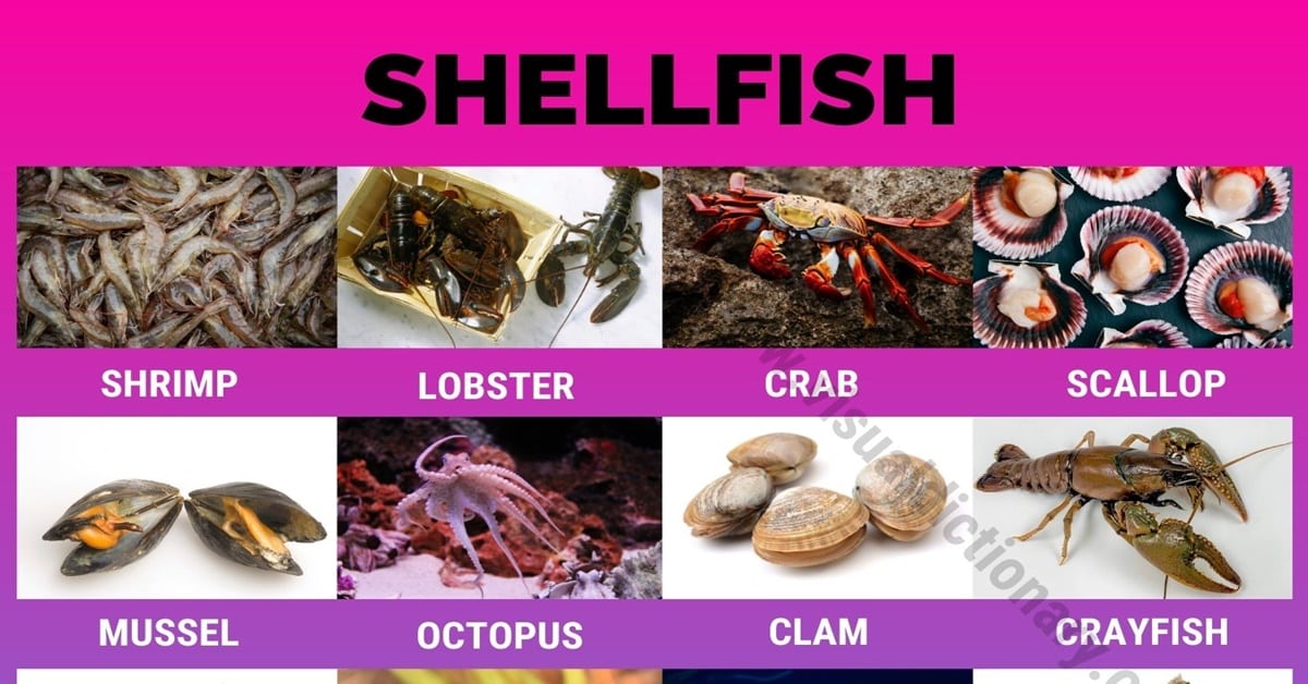 What are common shellfish?