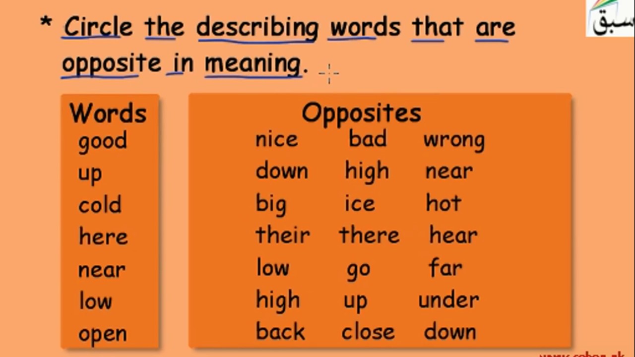 What are describing words?