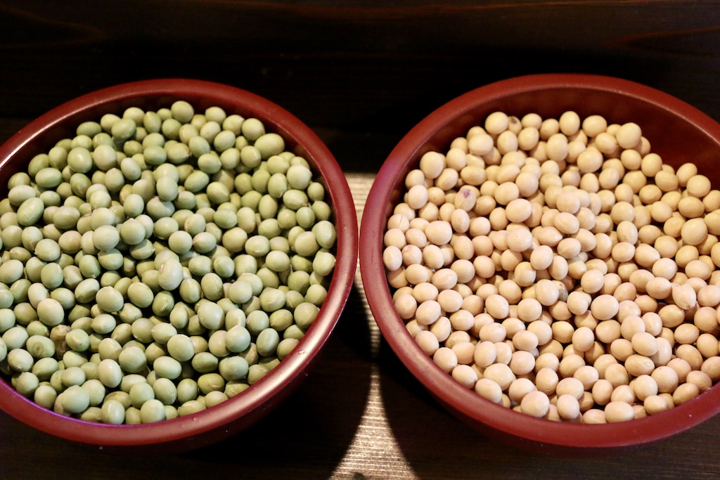 What are different types of soybeans?