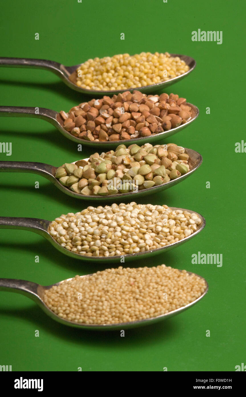 What are edible grains?