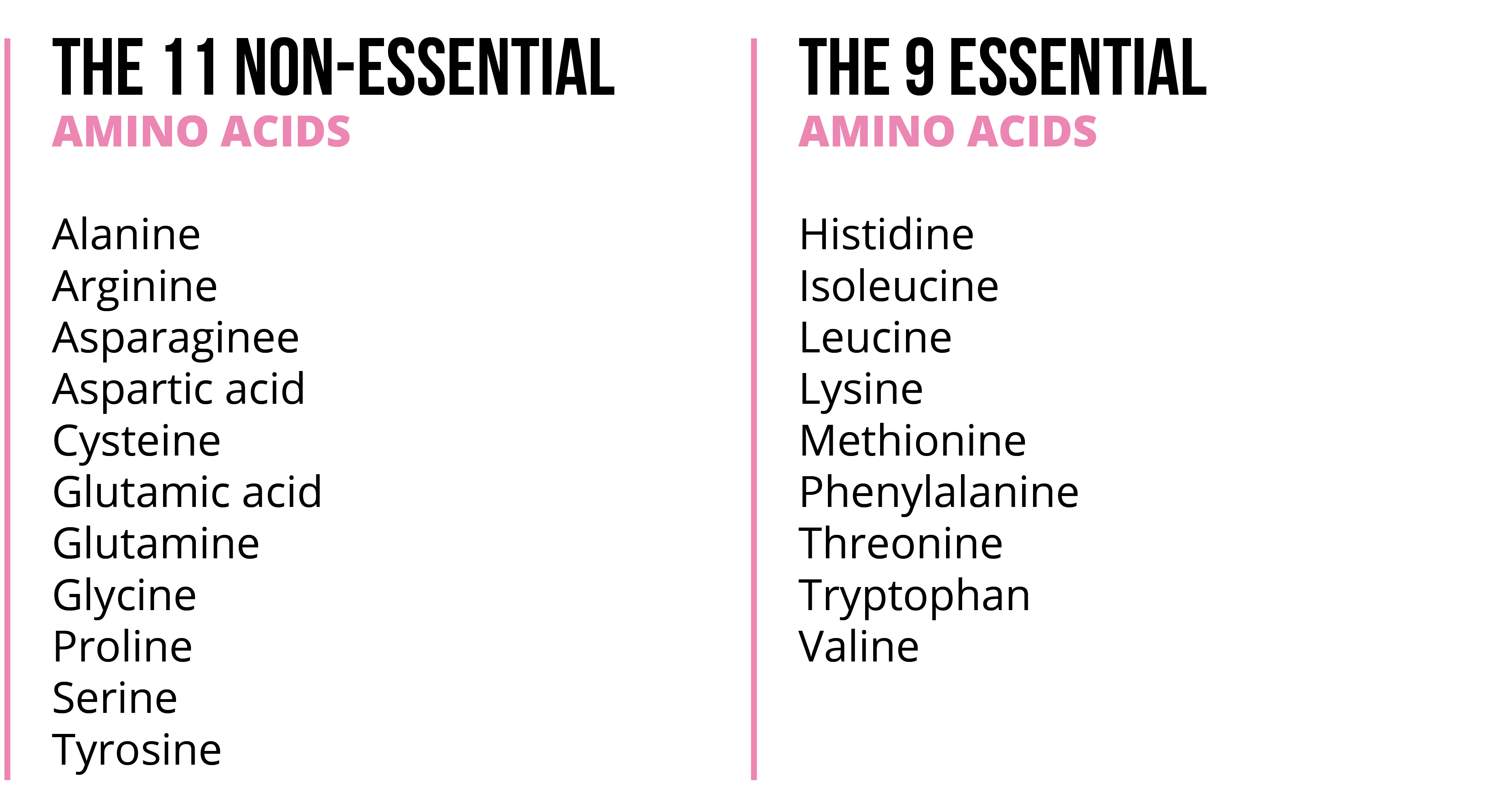 What are essential amino acids 11?