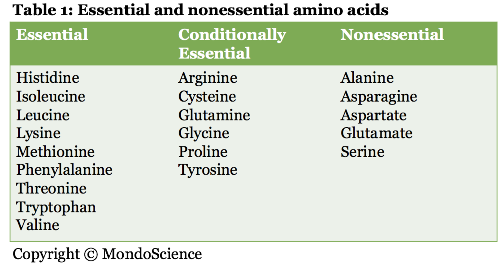 What are essential amino acids 12?