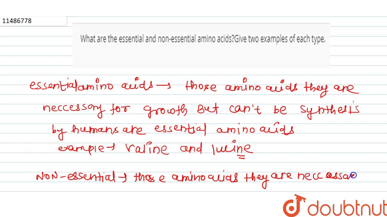 What are essential and nonessential amino acids give example?