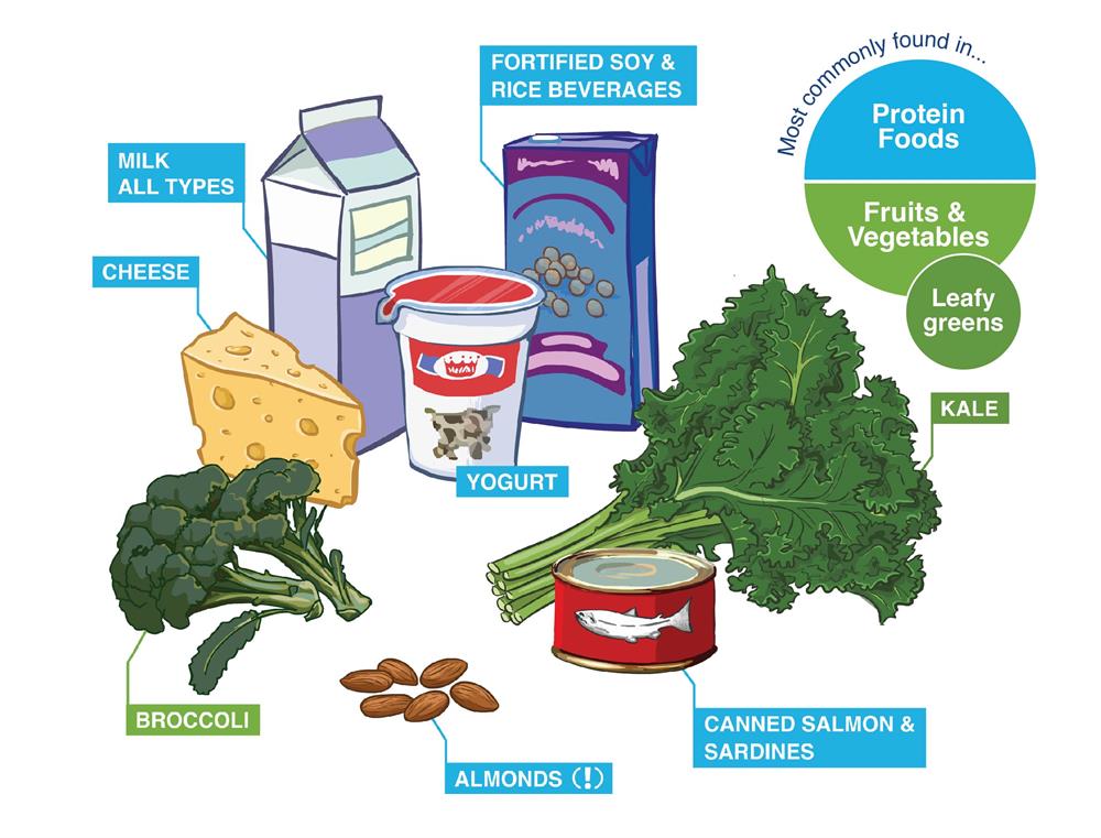 What are examples of a serve of calcium?