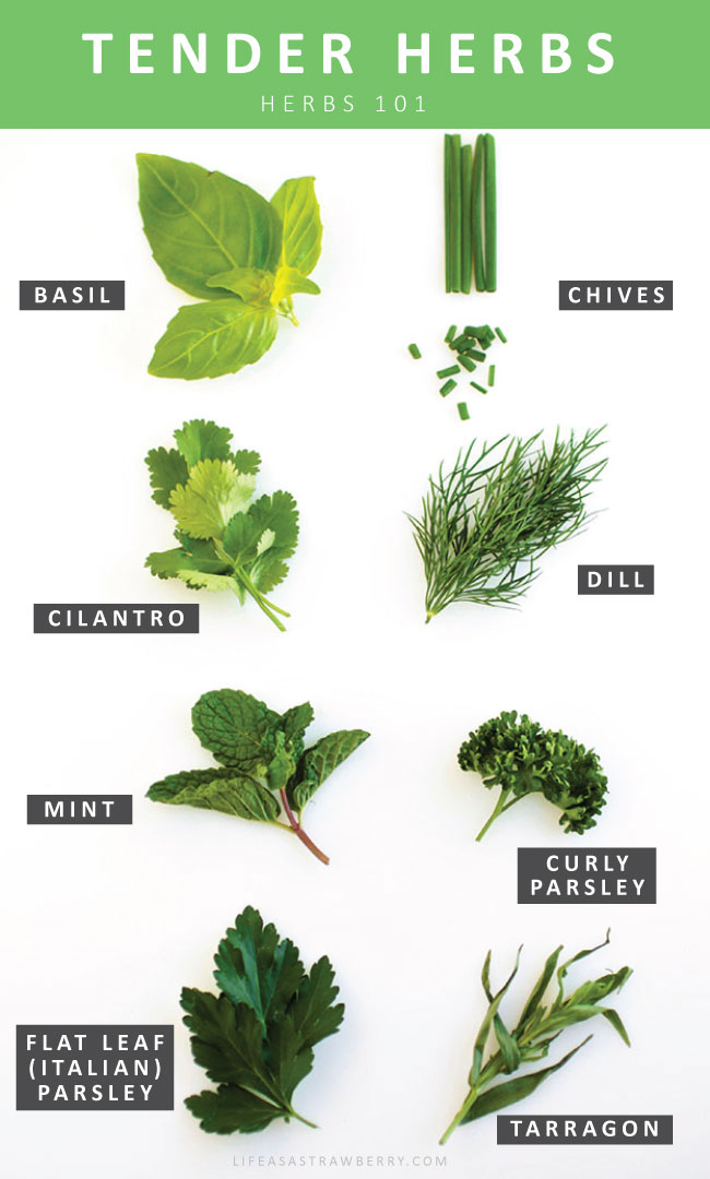 What are examples of fresh herbs?