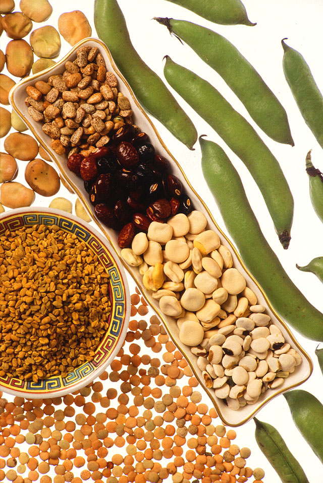 What are examples of legumes?
