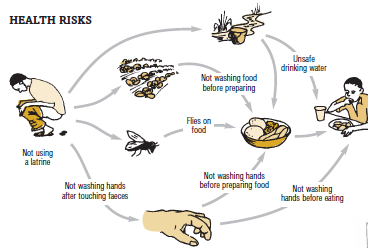 What are examples of poor hygiene?