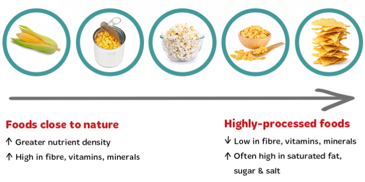 What are examples of processed highly processed foods?