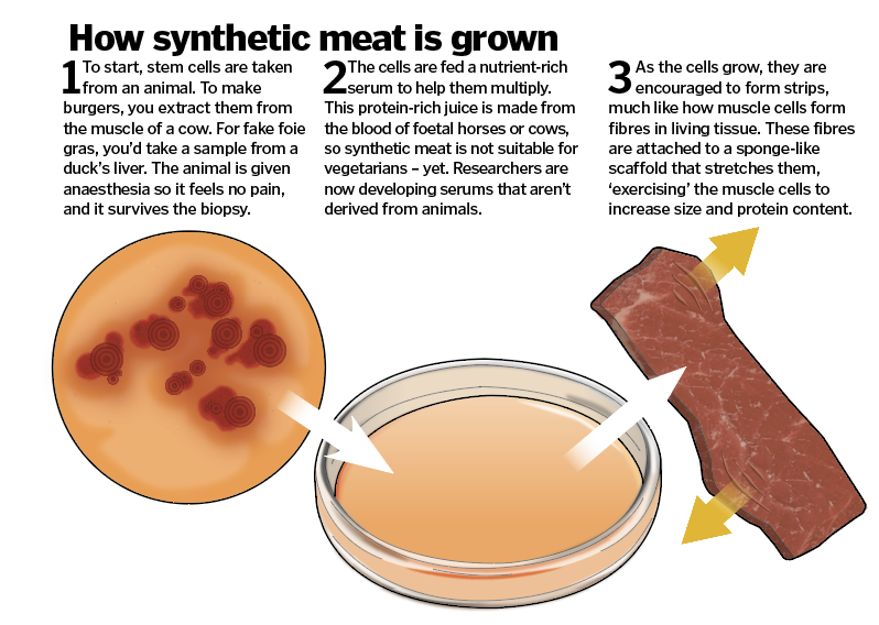 What are fake meats made of?