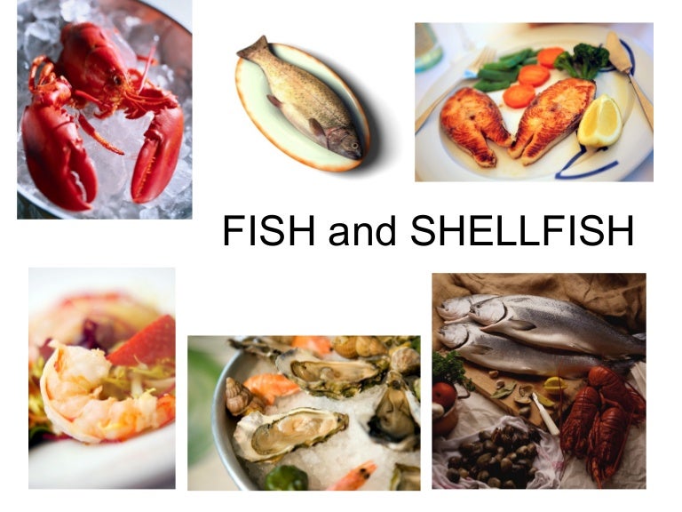 What are fish and shellfish?