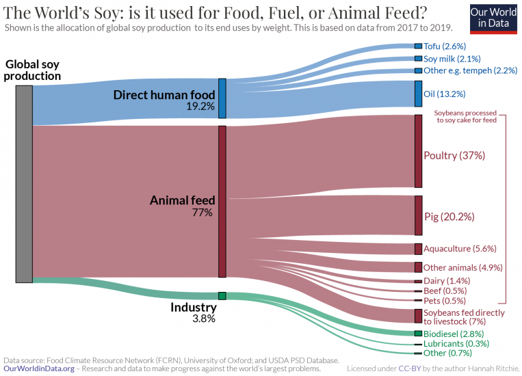 What are five soy products that can be produced for human consumption?