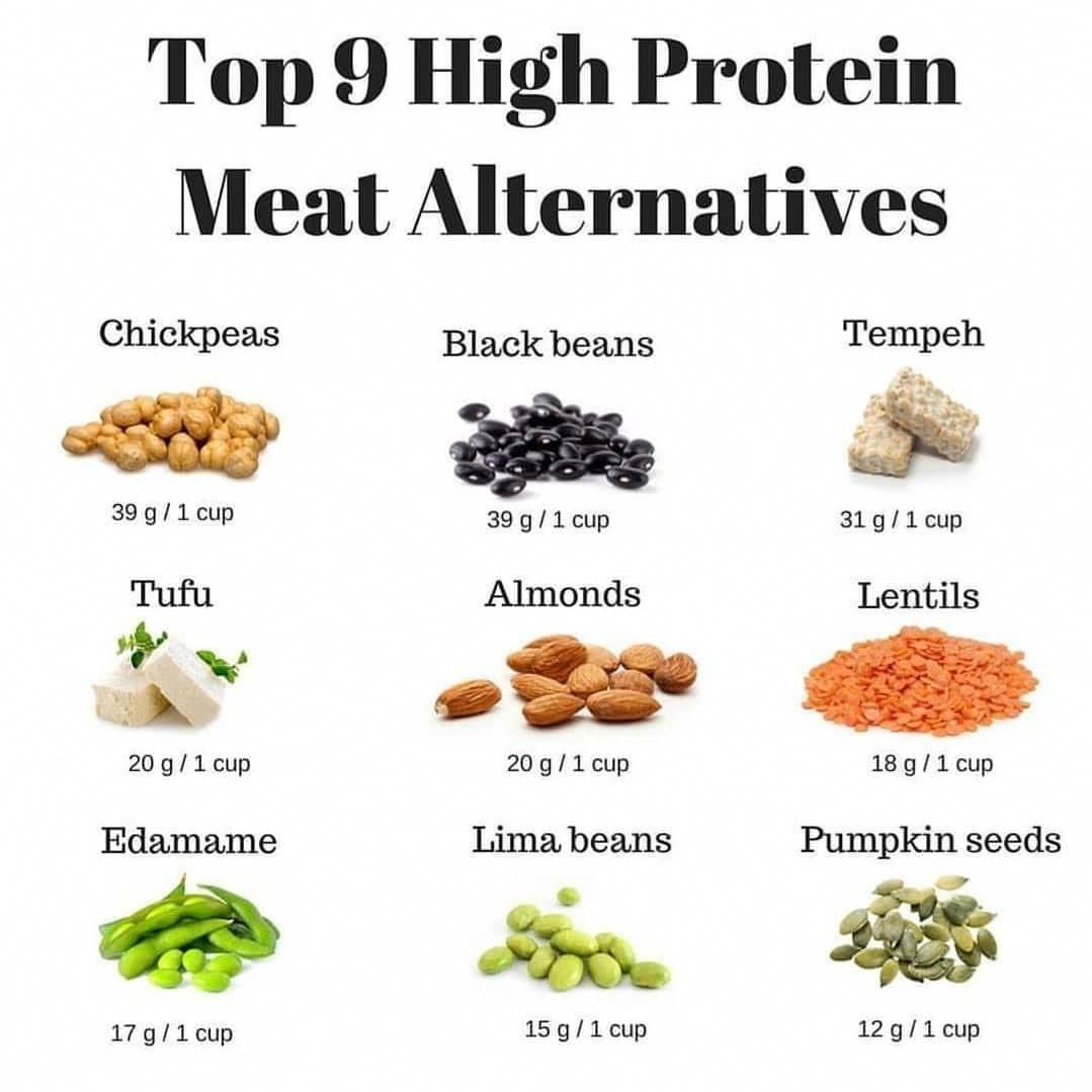 What are high protein alternatives to meat?