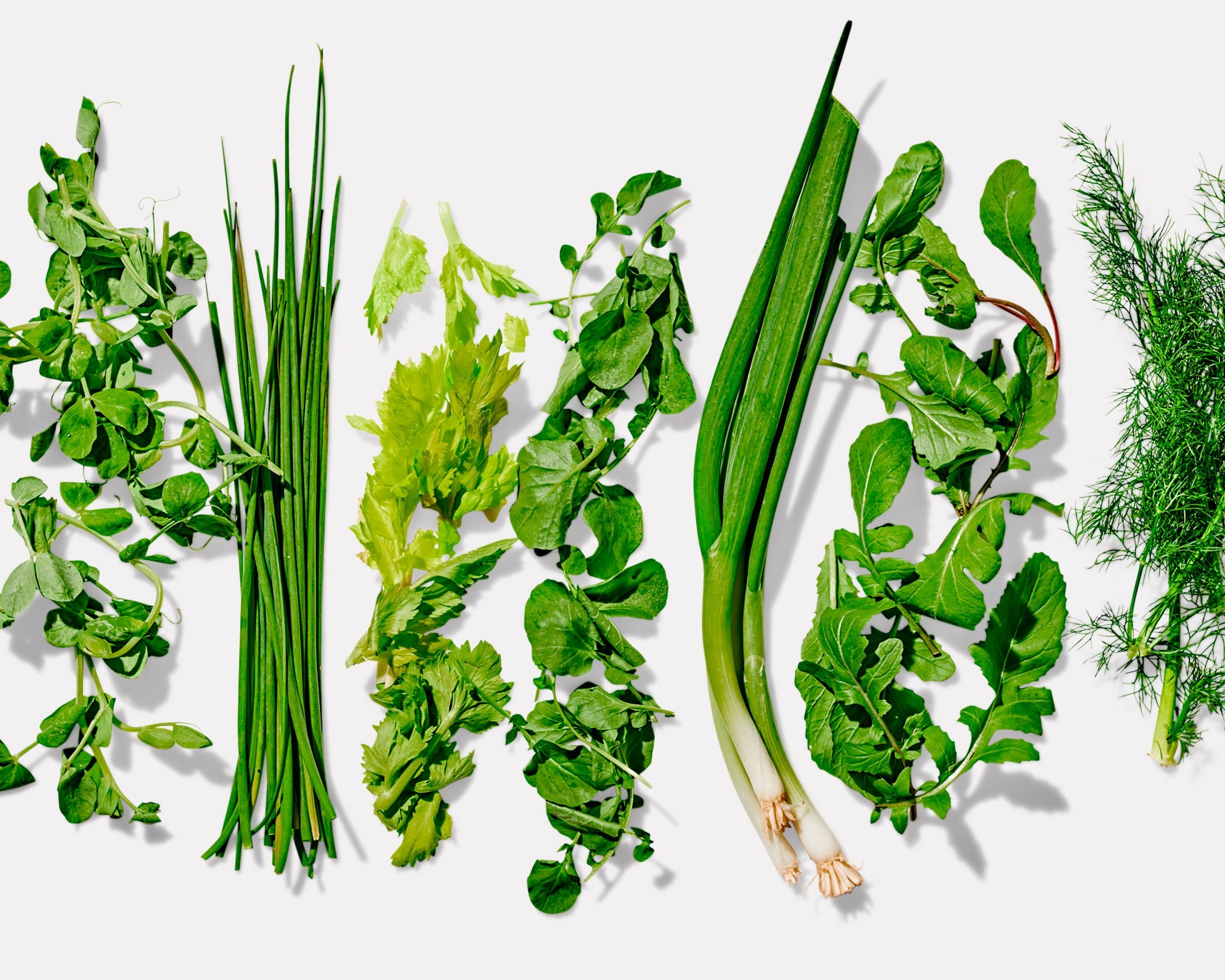 What are leafy herbs?