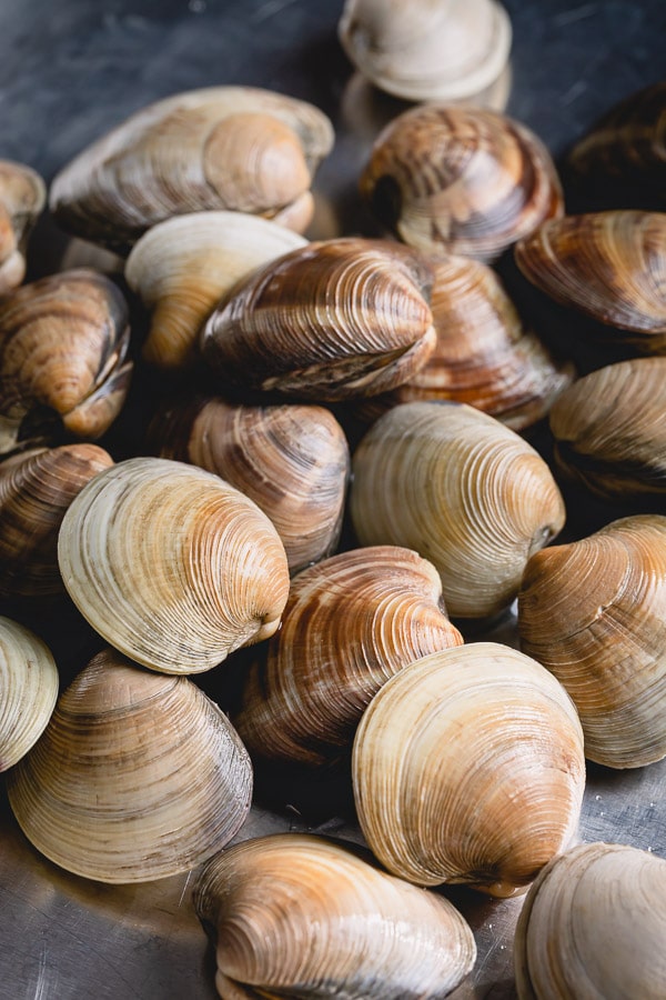What are little neck clams?