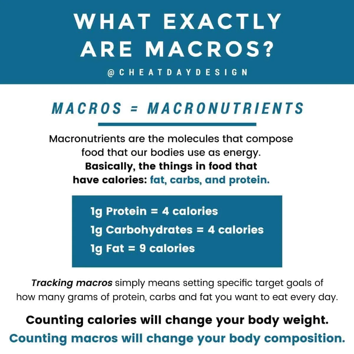 What are macronutrients and why do they matter?