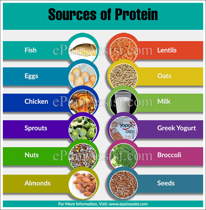 What are main sources of protein?