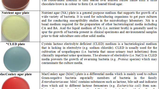 What are medium used in microbiology?