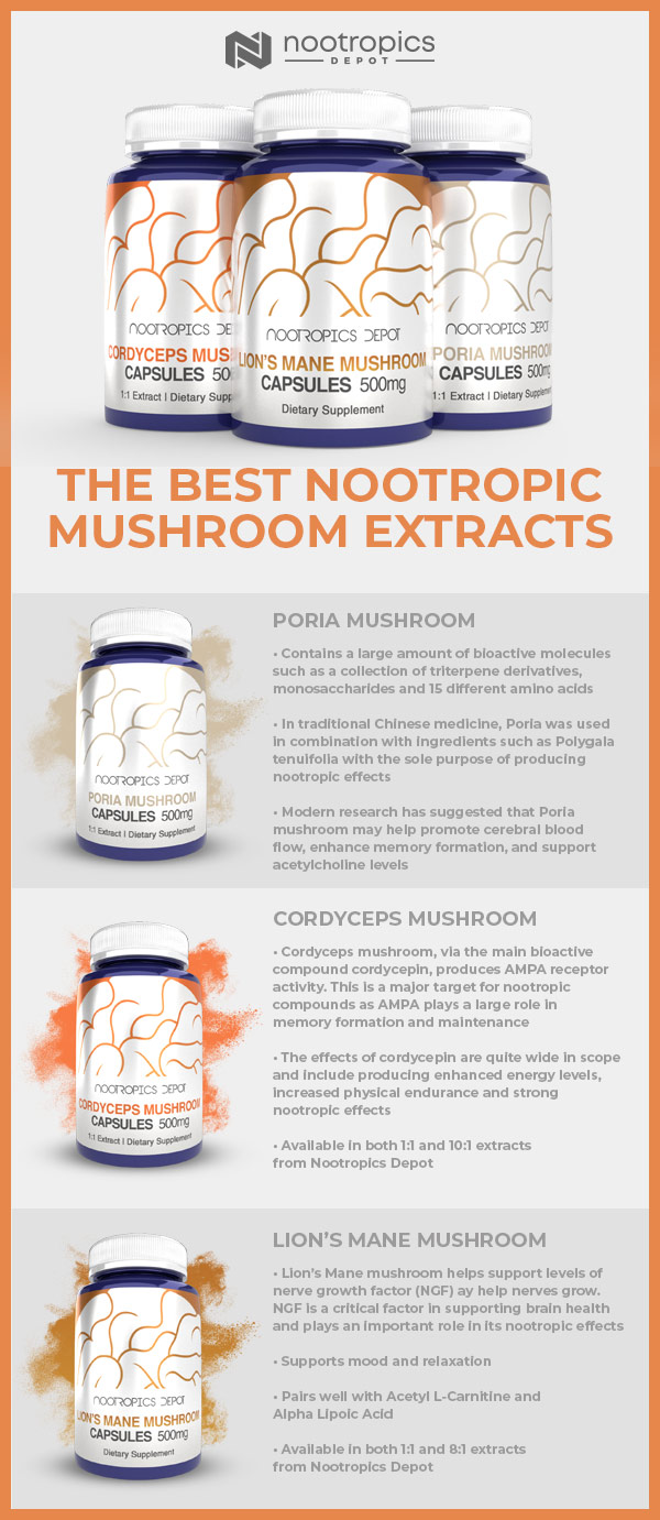 What are nootropic mushrooms?