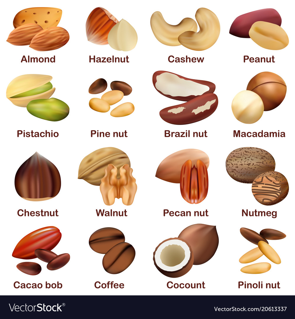 What are other names for nuts?