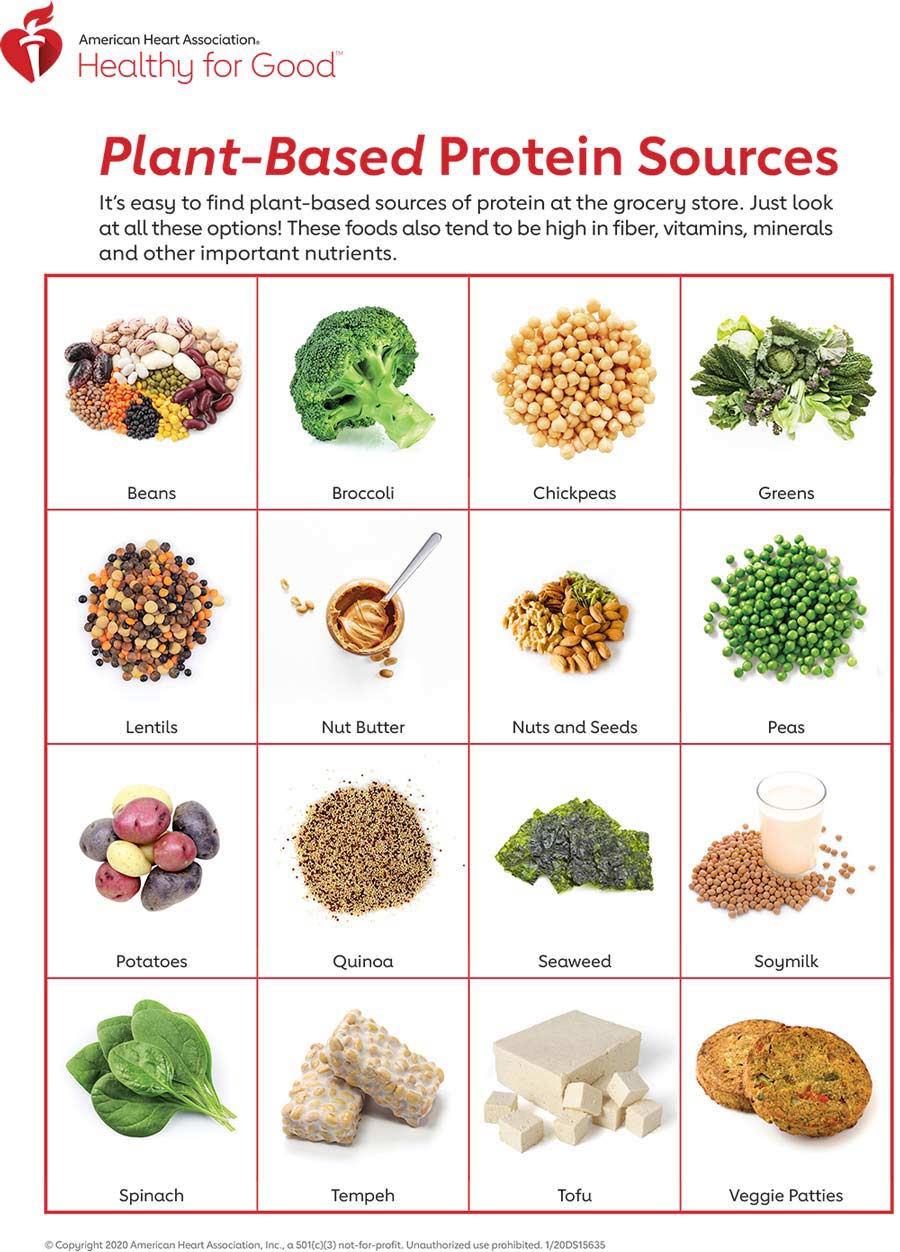 What are plant-based proteins?