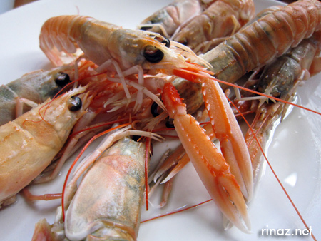 What are prawns with claws called?