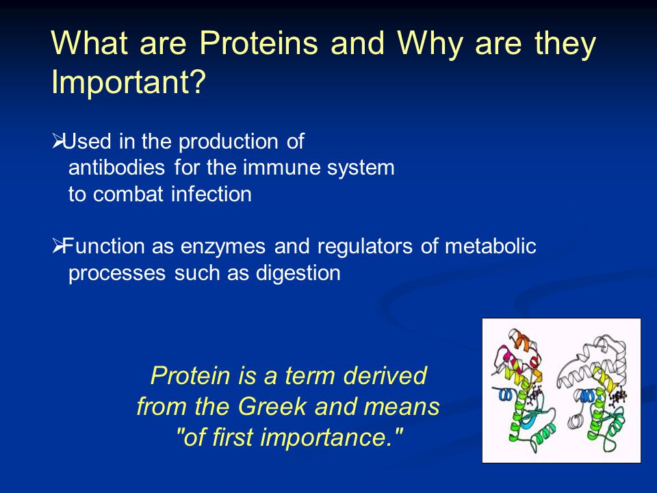 What are proteins and why are they important?