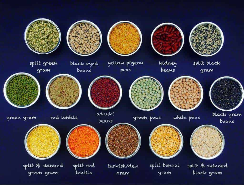 What are pulses examples?