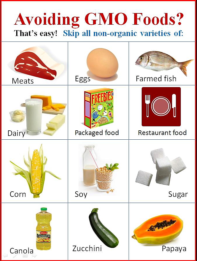 What are reasons for avoiding GMO foods?