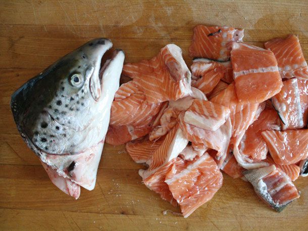 What are salmon heads good for?