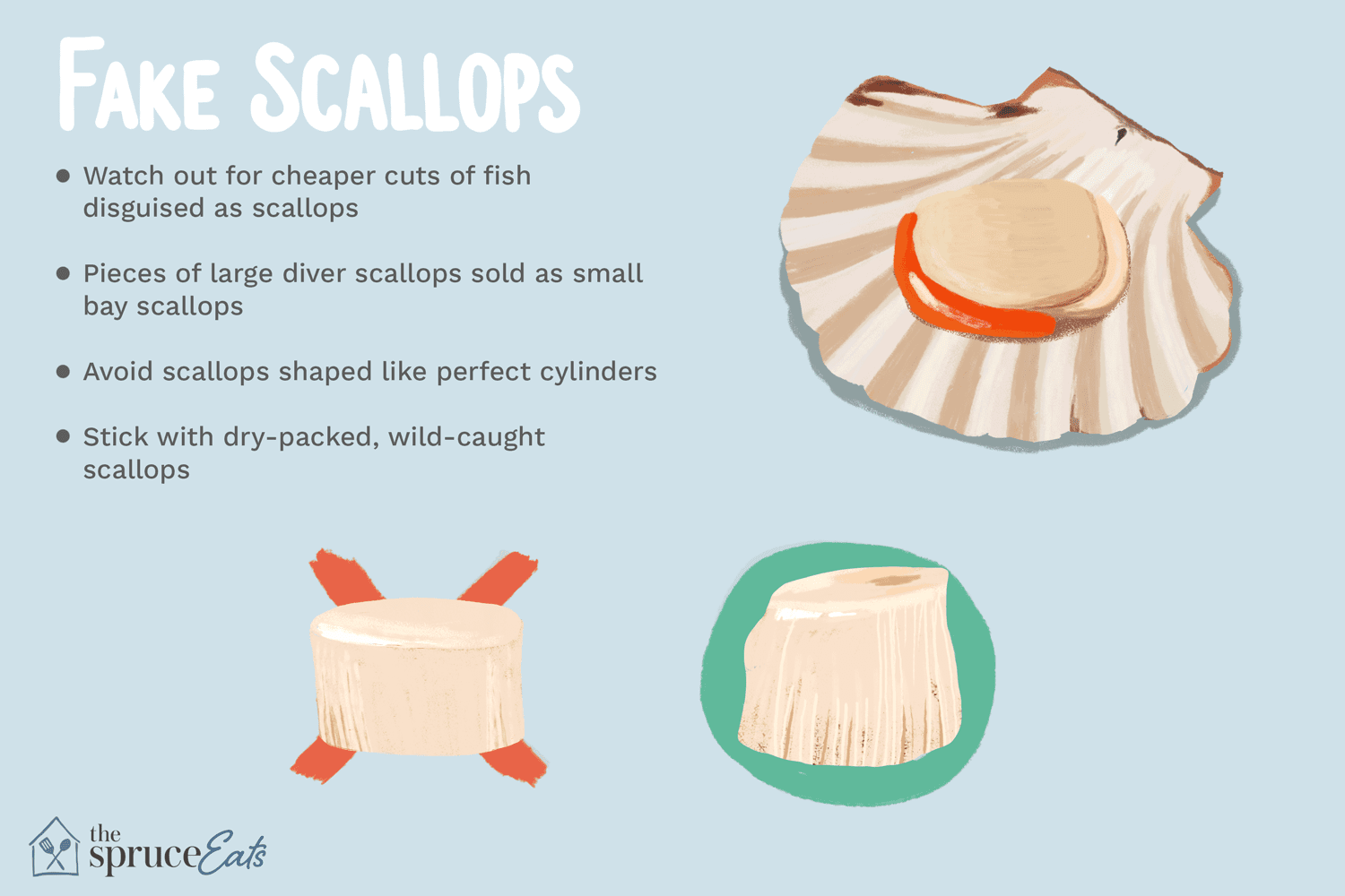 What are scallops supposed to look like?