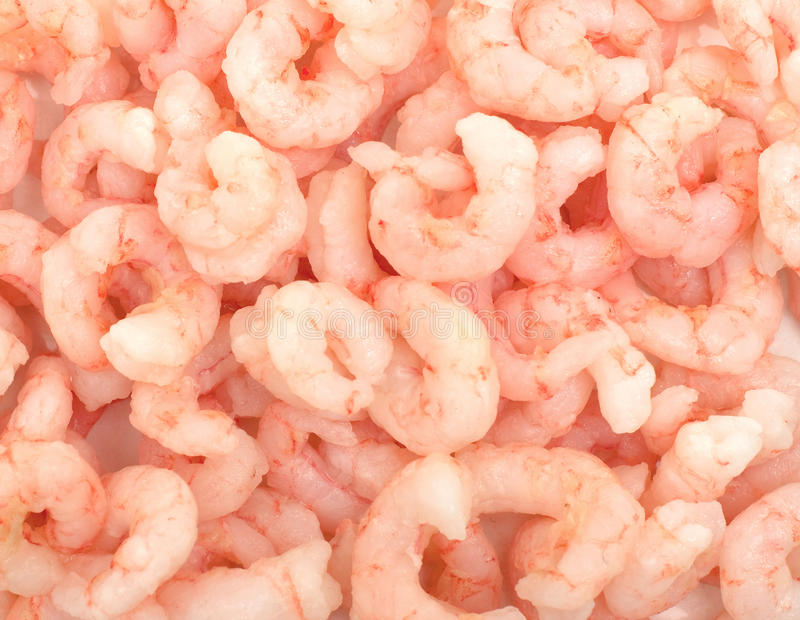 What are shelled prawns?