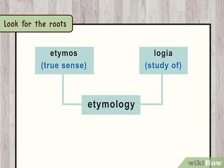 What are some etymology examples?