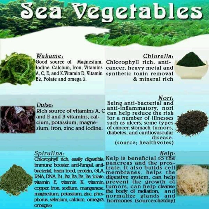 What are some examples of sea vegetables?