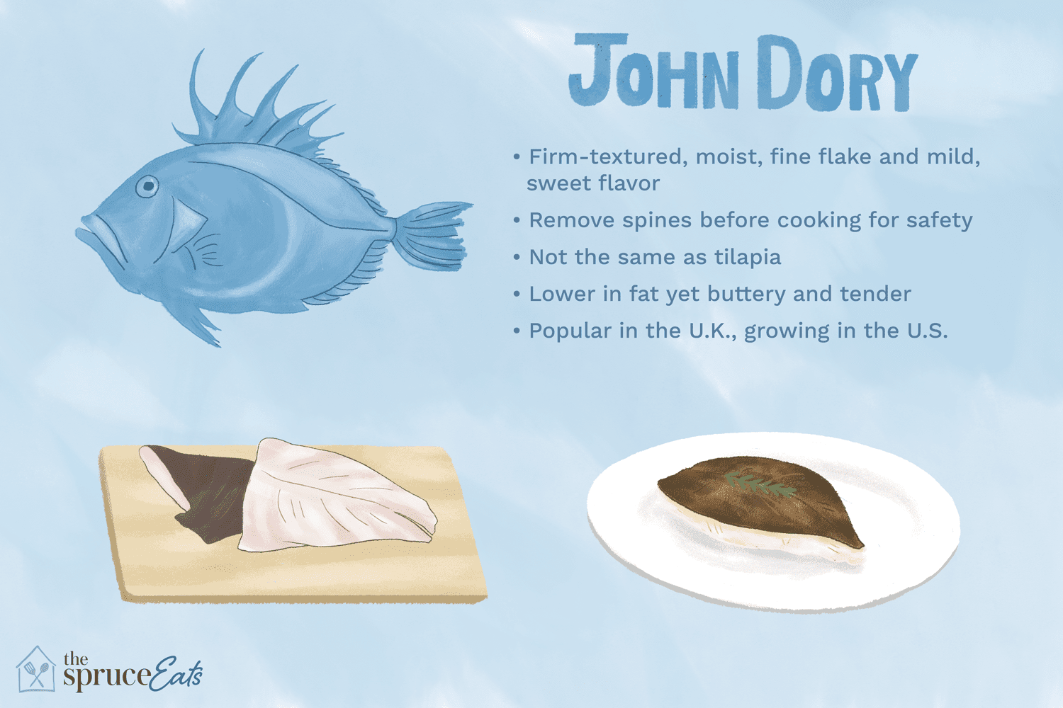 What are some interesting facts about John dory fish?